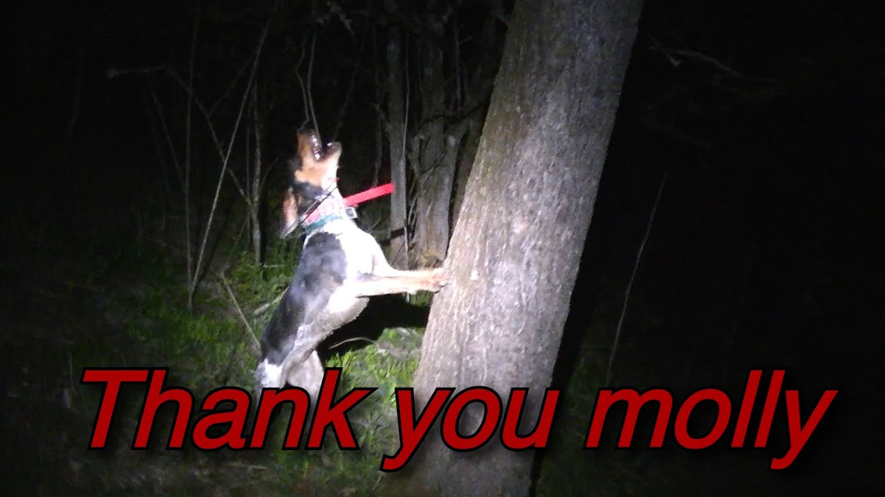 THANK YOU MOLLY - YouTube