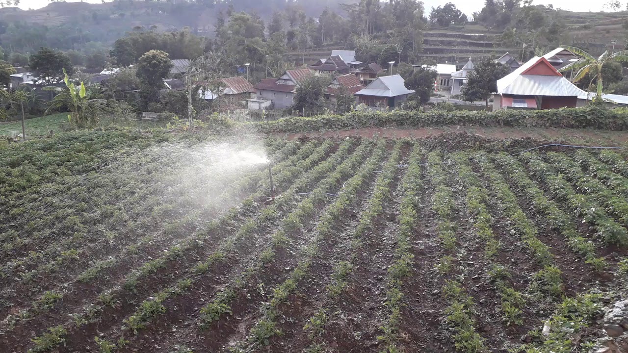 Springkel air - YouTube