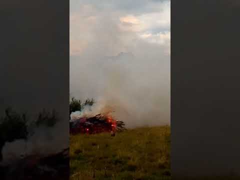 Bokr egetes a csoka taplonal.