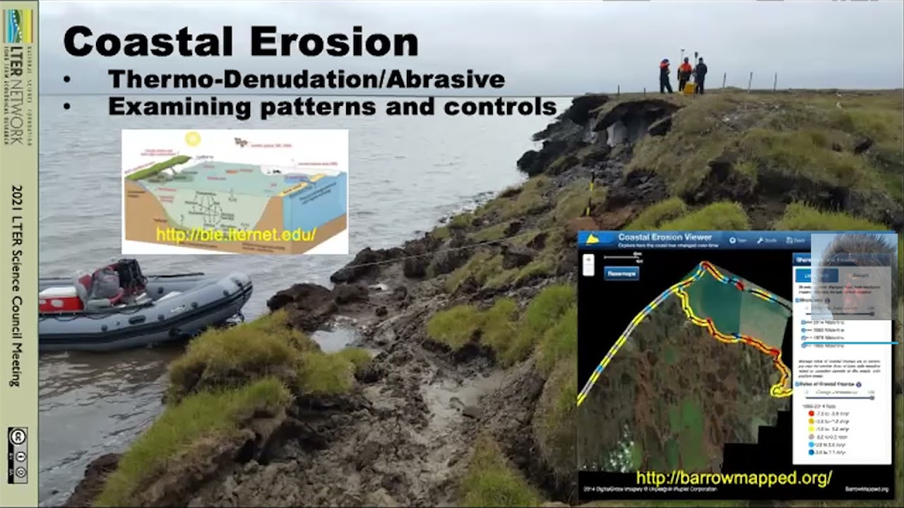 Ecological Dynamics at the Land-Sea Interface in the Changing Arctic ...