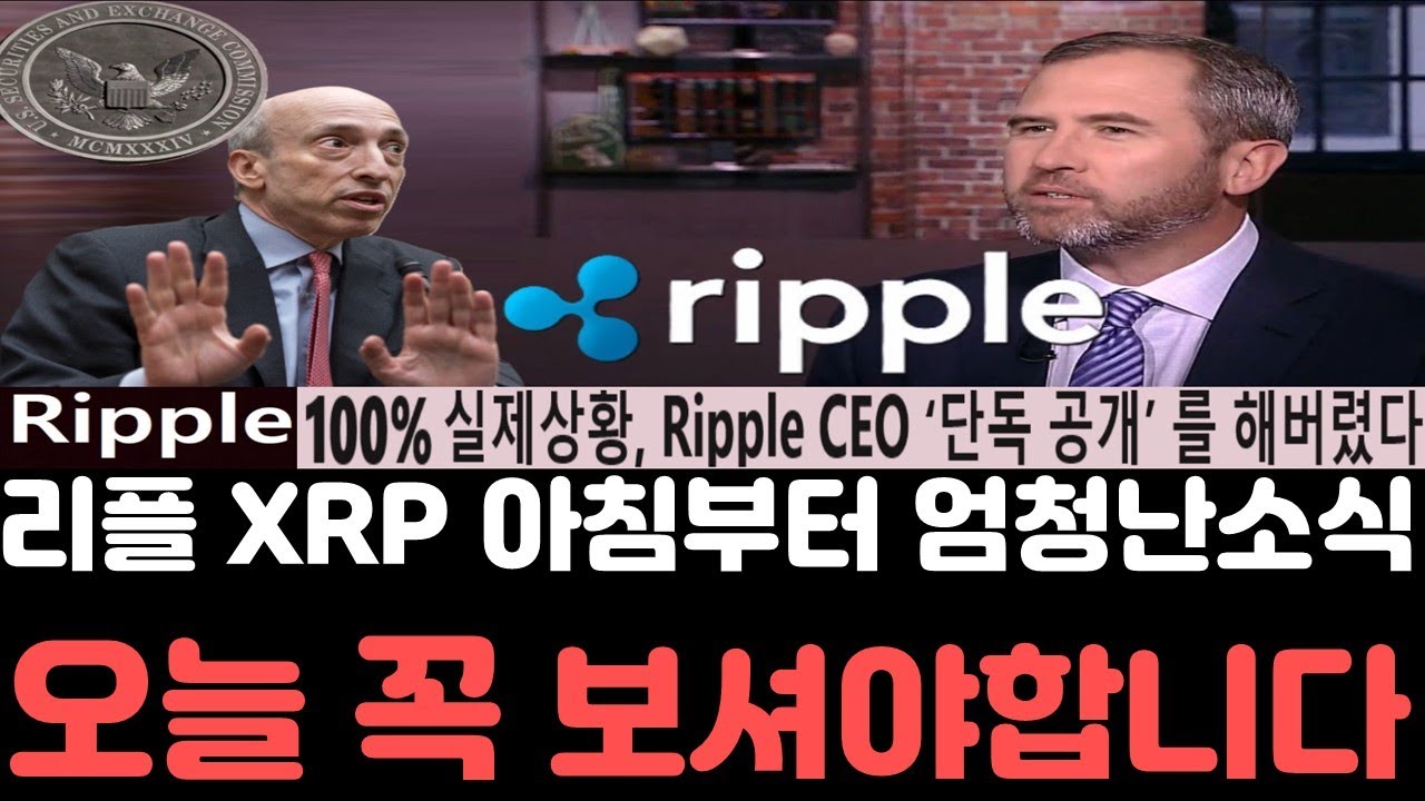 리플전망 리플 Xrp 리플ceo 시장에서 공개되지 않은 소식을 단독공개 해버렸다 오늘 영상은 꼭 보셔야합니다 리플전망 리플호재 리플급등 리플코인 리플소송