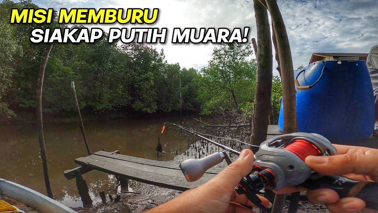 MEMBURU Siakap Putih Muara Sungai Merbok - YouTube