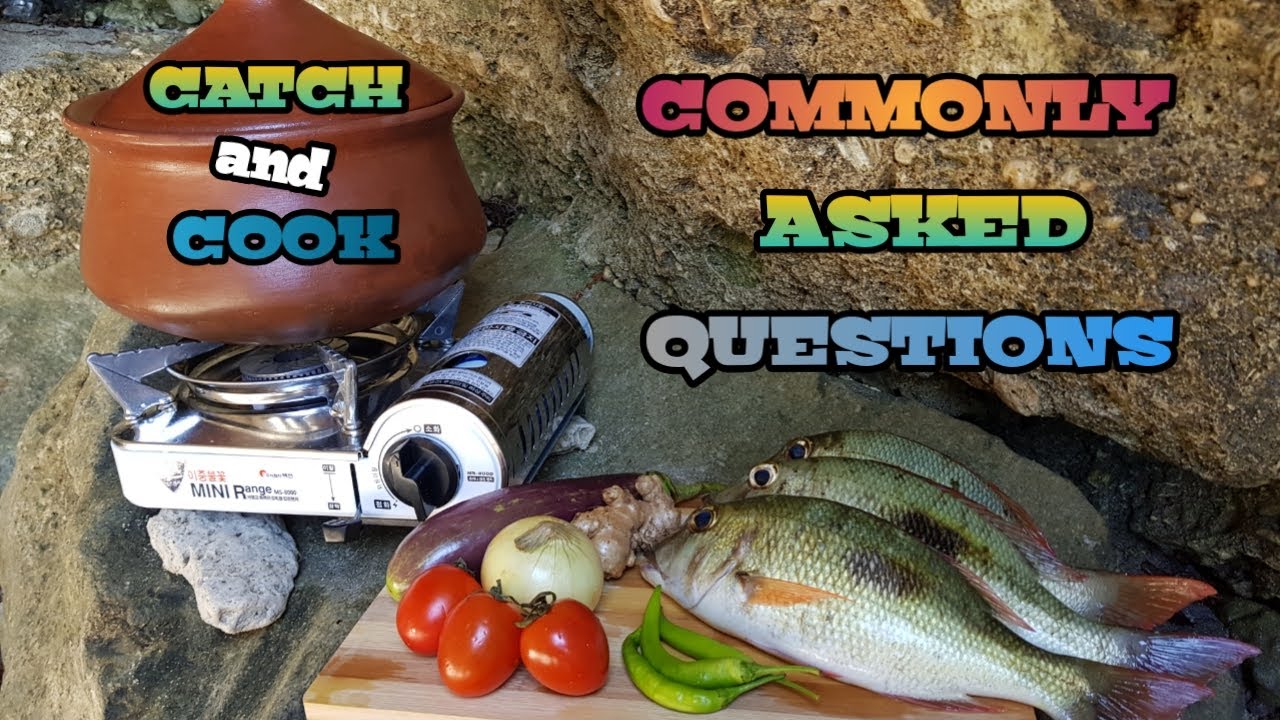FISHING TIPS-Q&A | CATCH AND COOK - YouTube