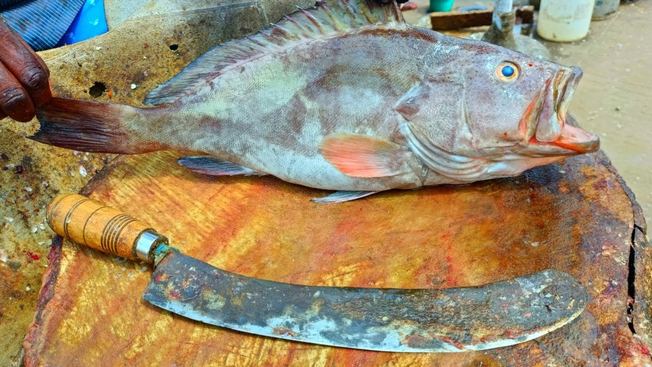 750 $. 9.65 / Kalavan Fish Cutting Skill / India Fish Market / CT 360*🔪 ...