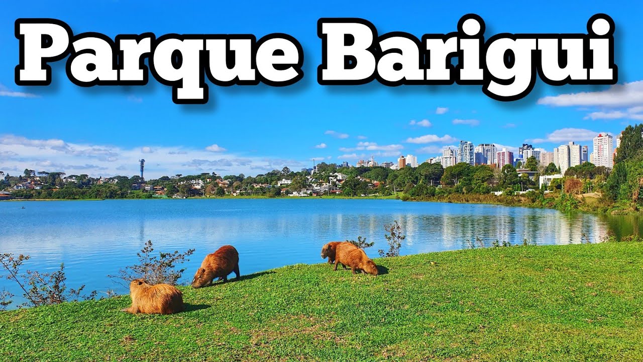 Quantos Km Tem O Parque Barigui - RETOEDU