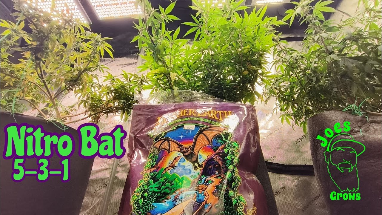 Why Nitro Bat is the Key to Your Cannabis Garden! - YouTube