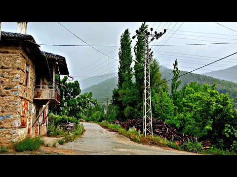 KÖYDE YAĞMUR YAĞIŞI SESSİZ VİDEO~kısa köy turu~yağmur sesi huzurlu video