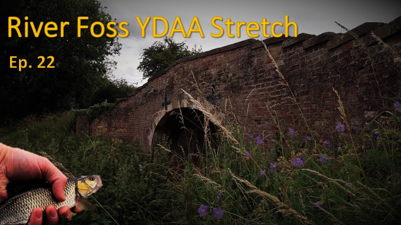 River Foss Fishing - Ep. 22: River Foss YDAA Stretch - YouTube