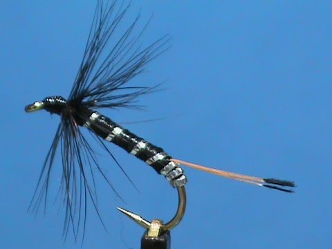 Beginner Fly Tying a Black Pennell with Jim Misiura - YouTube