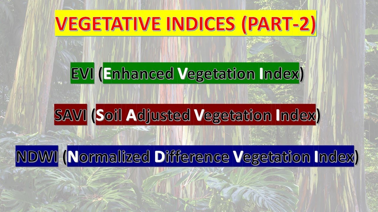 LECTURE 17 - VEGETATIVE INDICES (PART-2) | EVI , SAVI , NDWI #ndvi ...