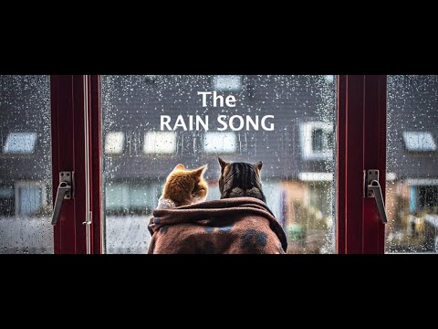 "The Rain Song" Led Zeppelin w lyrics 4 hearing & visually impaired Non ...