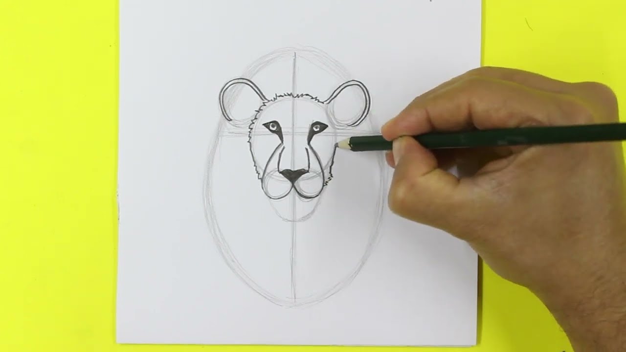 🔴 Como Dibujar un LEON a Lapiz - Dibujos Faciles para Principiantes ...