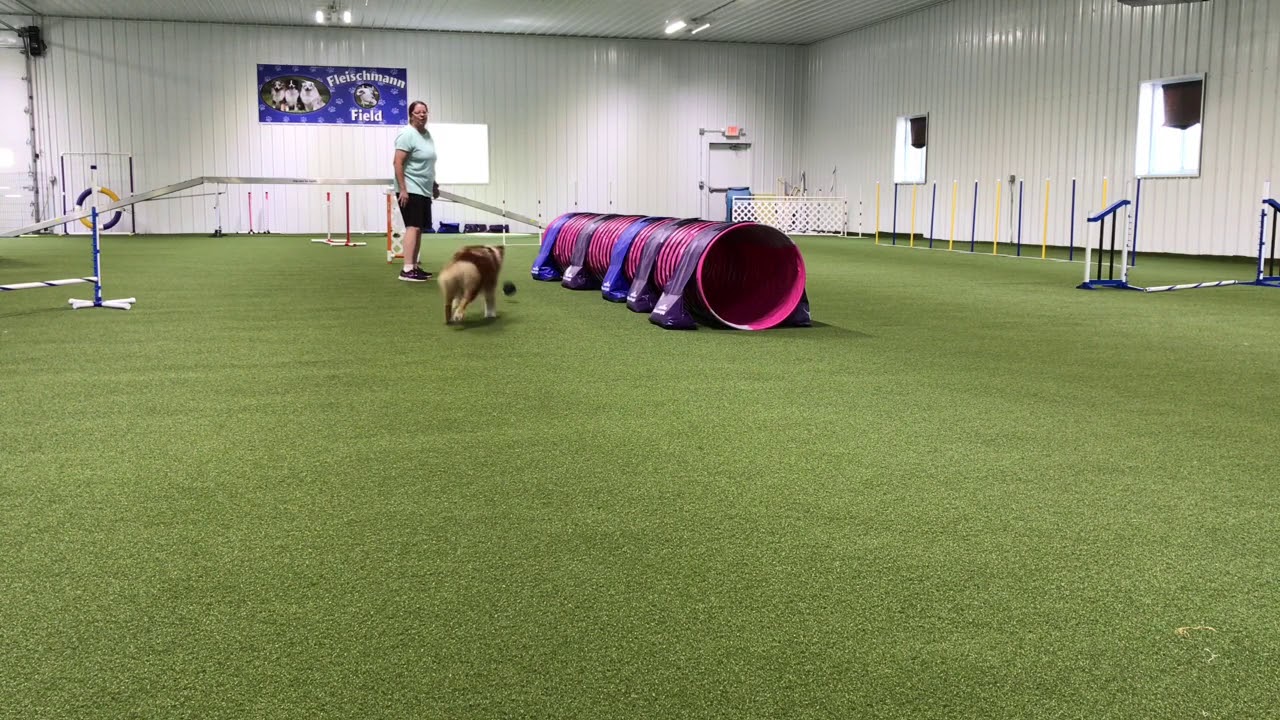 Camp Wk 2 Skills - YouTube