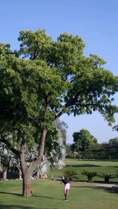 top view of binary tree| binary tree right side view| tree down doors ...