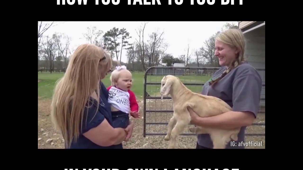 Small talk between Human baby and Sheep baby - YouTube