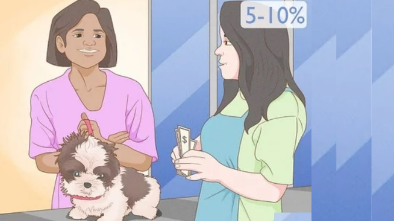 The Art of Tipping - A Guide for Dog Grooming - YouTube