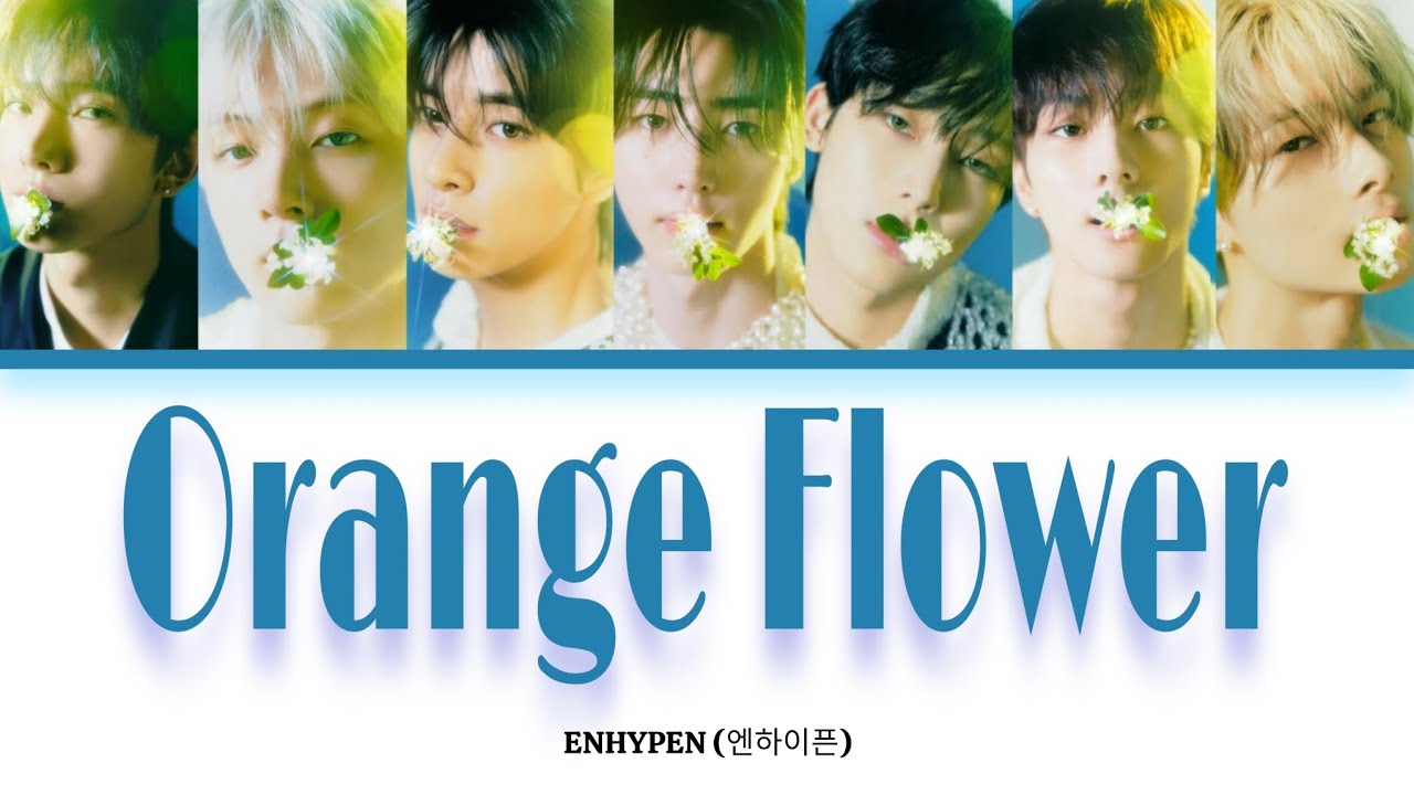 ENHYPEN - Orange Flower (You Complete Me) Lyrics | (Color Coded Lyrics ...