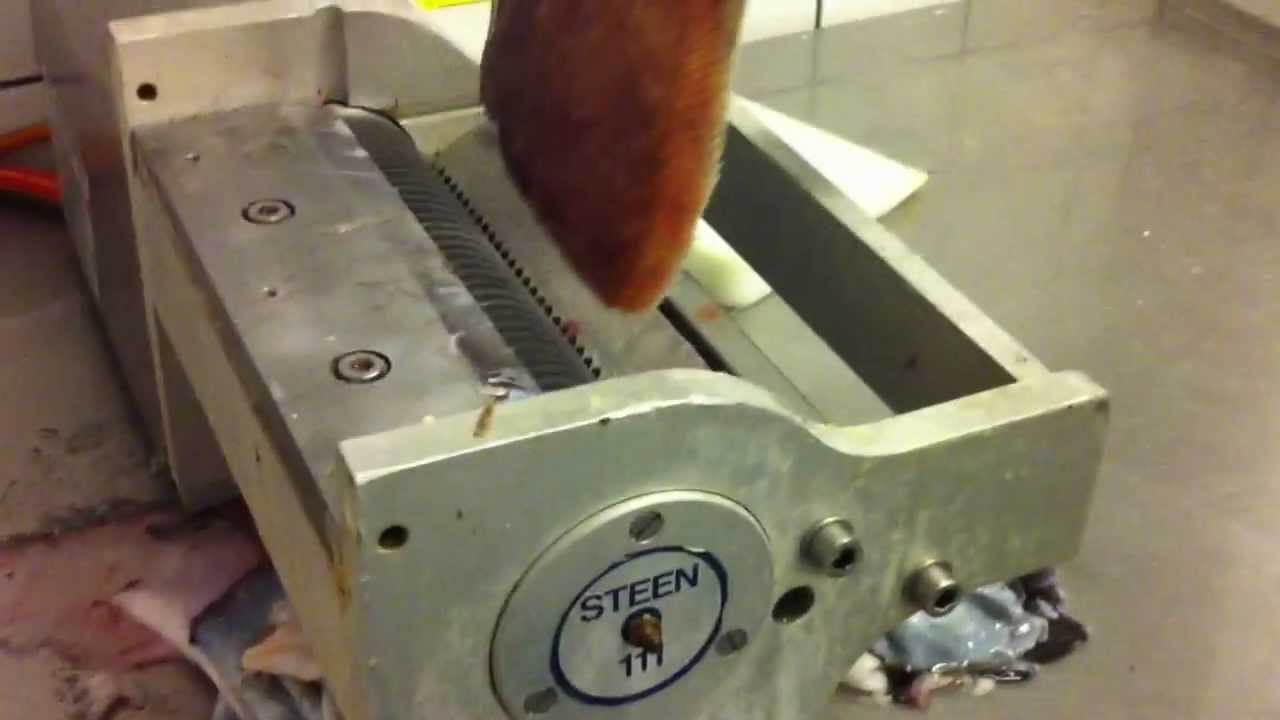 Fish skinning machine in action - YouTube