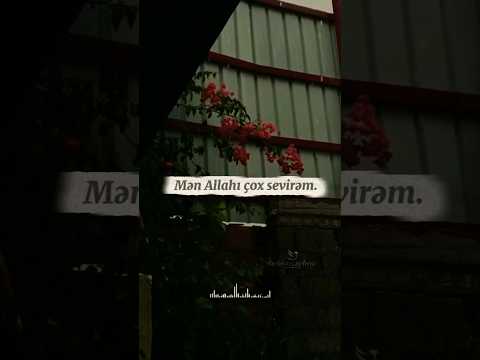 Səni çox Sevirəm Allahım... #dinivideolar #allah #shortvideo #shorts