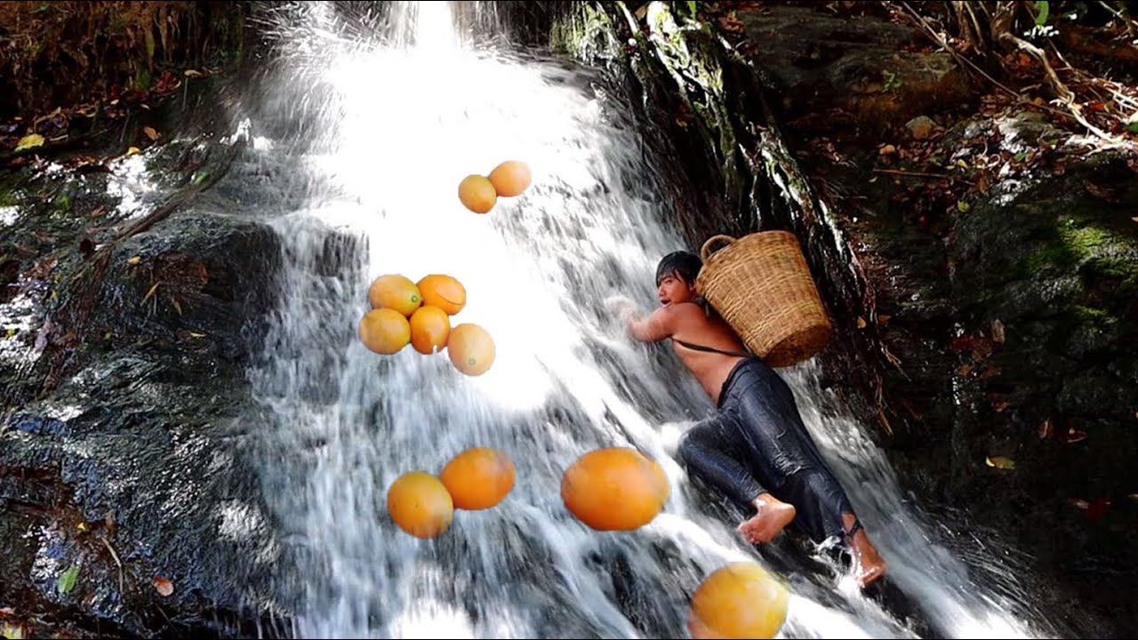 How to finding Plum Mango at water on mountain - smart man Eating ...