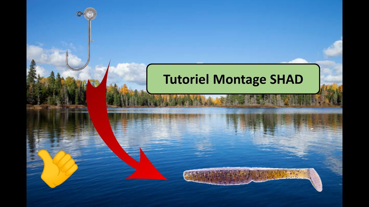 Comment réaliser un montage SHAD sur un leurre souple ? (Tutoriel ...