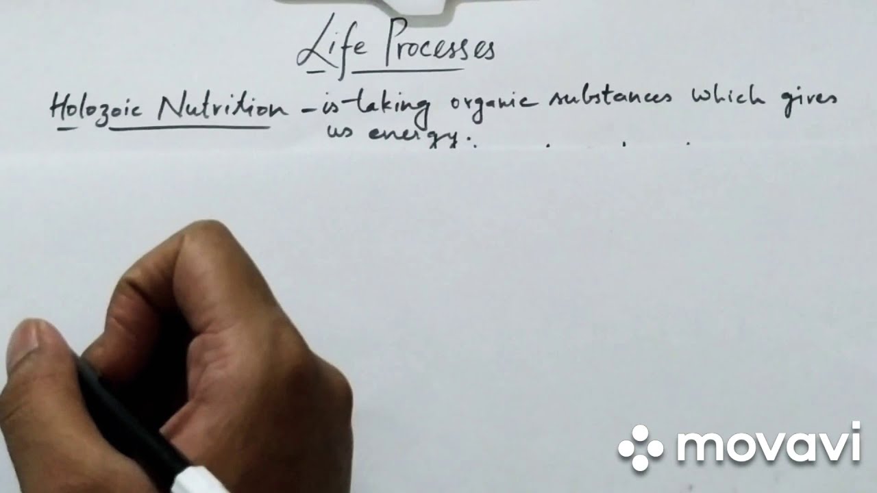 life-processes-class-10-lecture-4-holozoic-nutrition-youtube