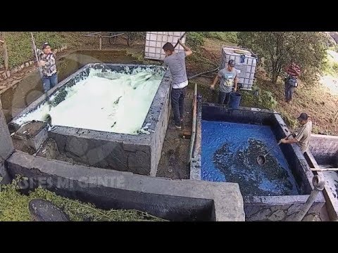 EL JIQUILITE Y EL AÑIL EN SUCHITOTO - YouTube