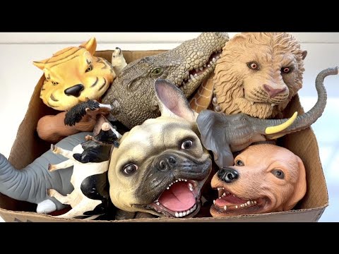 Animal Toy Box | Learn Names: Tiger, Horse, Dinosaur - YouTube