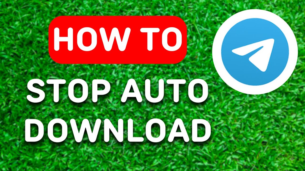 How to Stop Auto Download in Telegram (2024) - Full Guide - YouTube