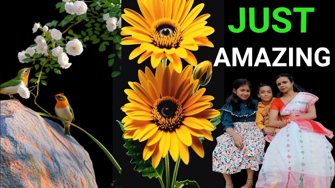 Mesmerizing Flower Garden 🌸 | Breathtaking Beautiful Flowers in Full ...