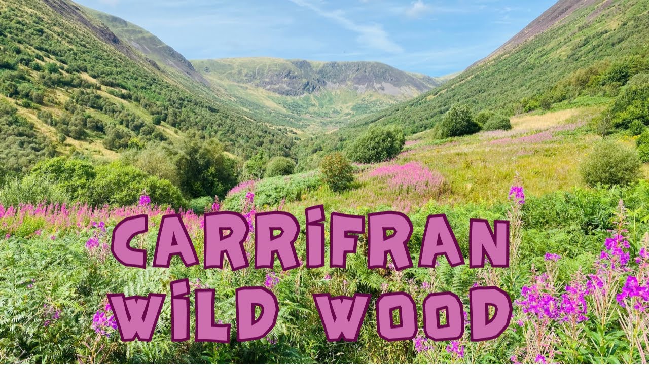 Carrifran Wildwood | Moffat | Scotland - YouTube