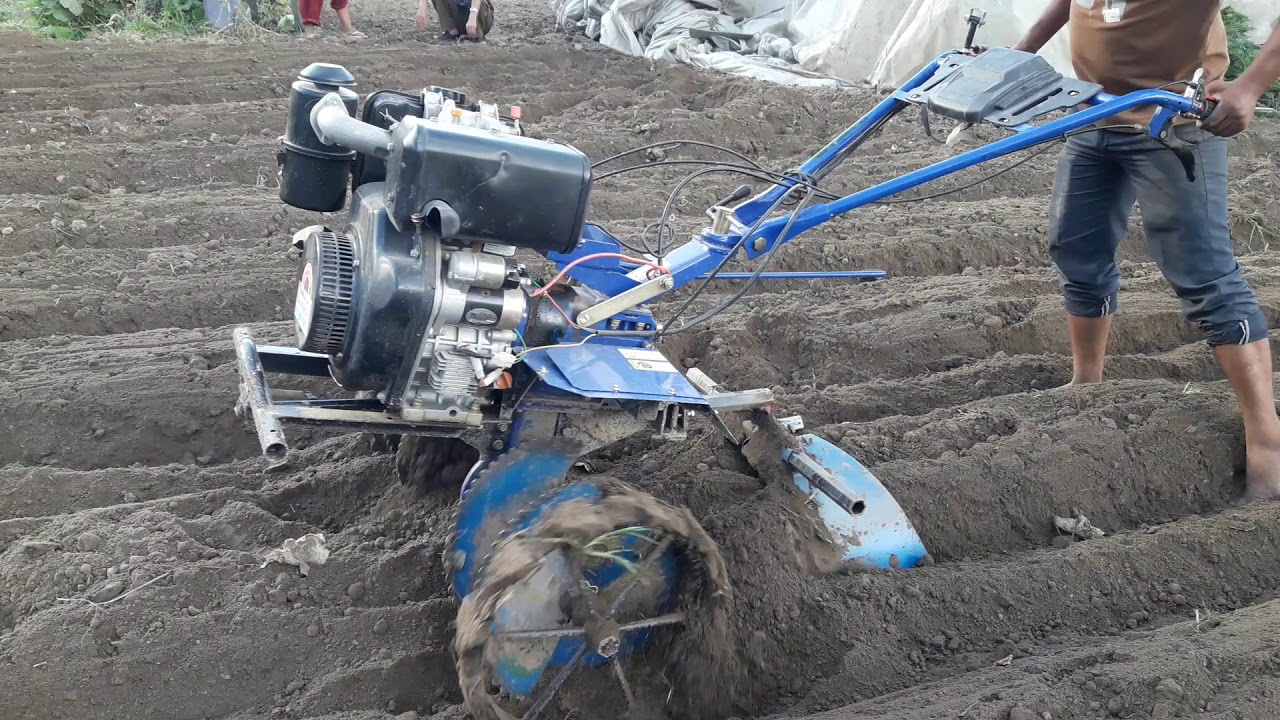 Making ridges in a vegetable farm of Nepal - YouTube