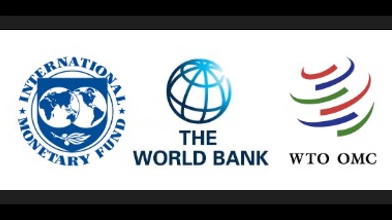 Here's how much dinar the UST IMF WTO and World Bank are holding 04/06 ...