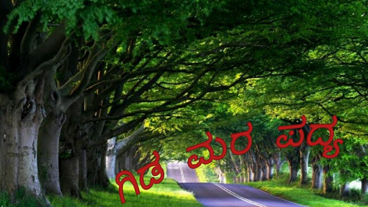 gida mara padya# 5th kannada gida mara padya question answers#akshara ...