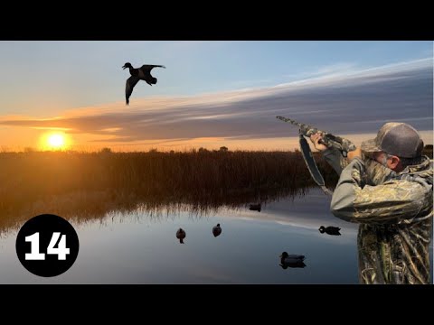 Duck Hunting 2022: Tiny Hidden Duck Hole / Duck Trip Day 2 - YouTube