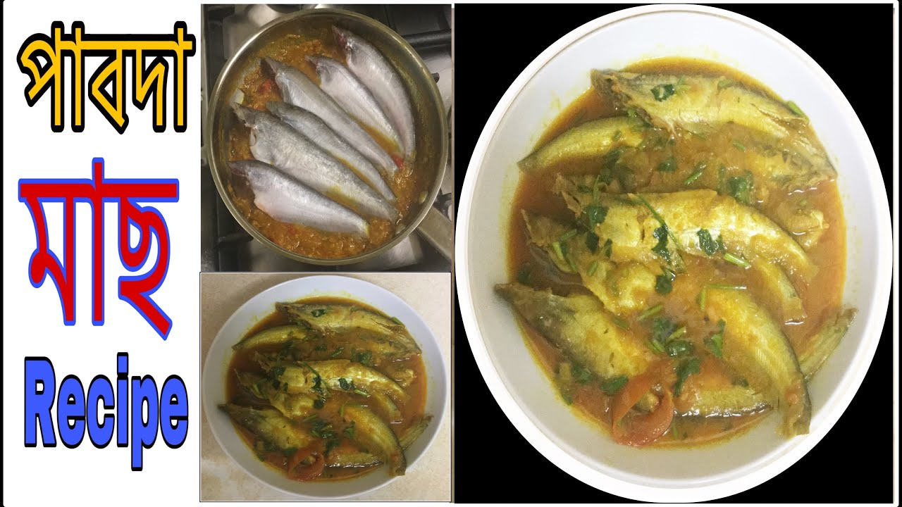 Pabda fish recipe | পাবদা মাছের রেসেপি | সহজ পদ্ধতি | Easy recipe ...