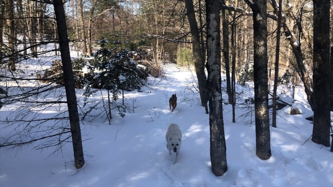 A Cold Morning in Early February - YouTube