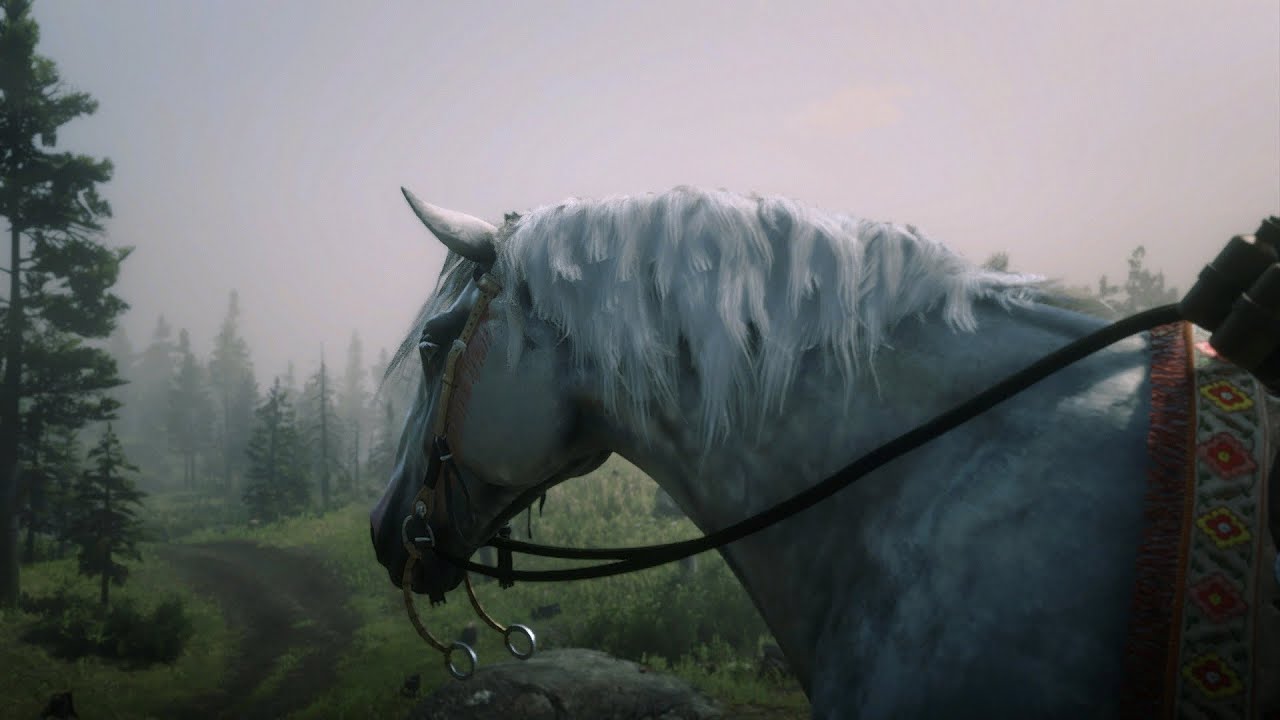 Red Dead Online Missouri Fox Trotter: Dapple Grey - YouTube