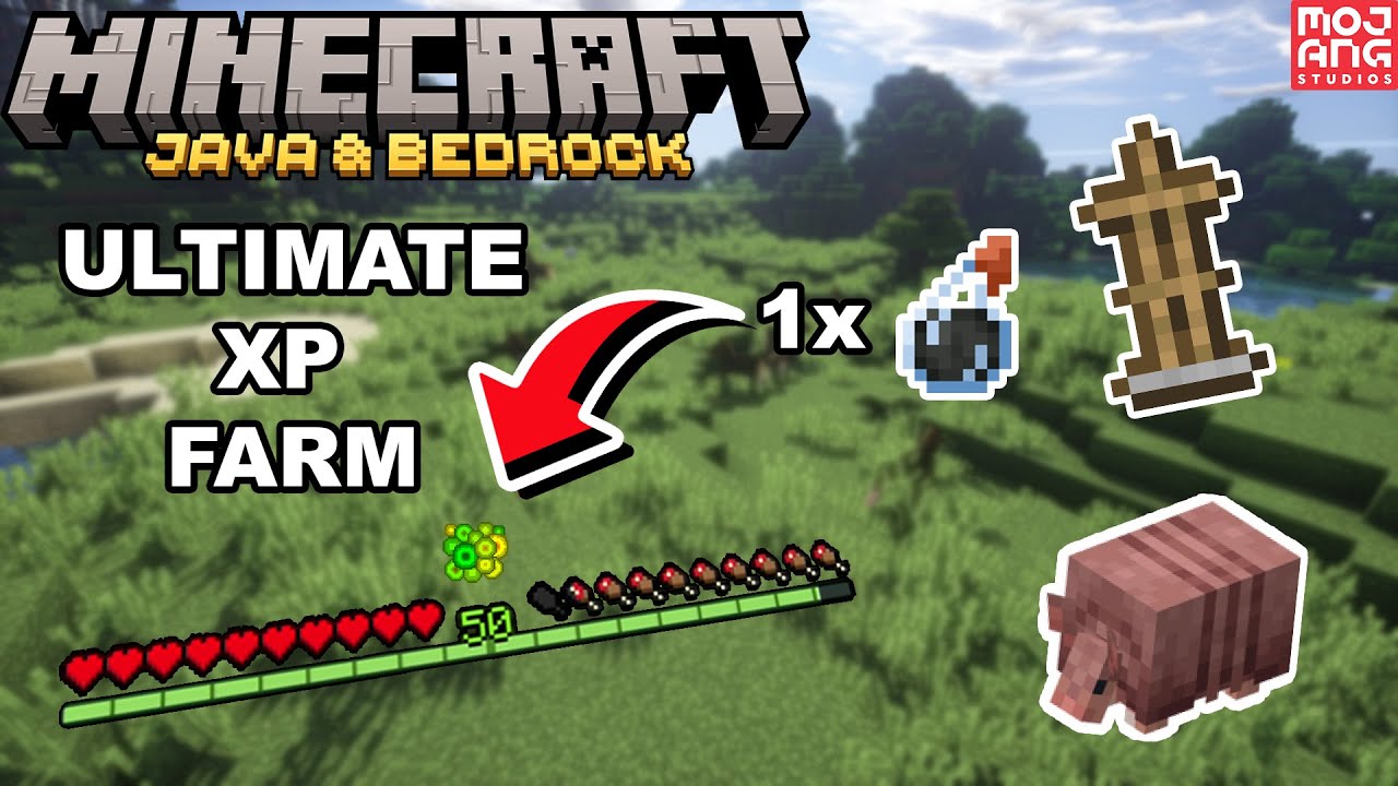 Minecraft Armadillo XP Farm | Minecraft 1.21+ | Minecraft Java ...