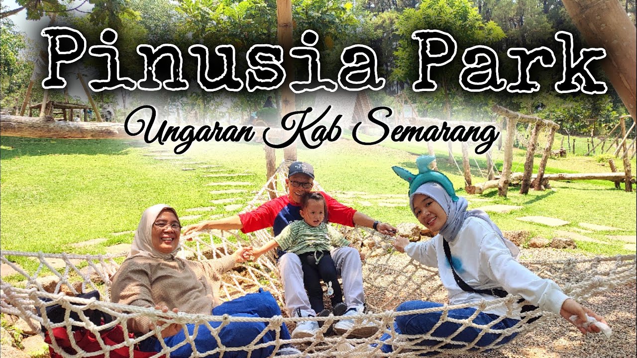 Pinusia Park Hutan Pinus Ungaran Kab Semarang #pinusiapark #hutanpinus ...