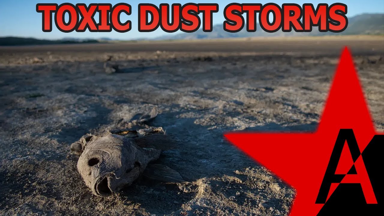 Toxic Dust in Lake Beds in the Aral Sea and Western US - YouTube