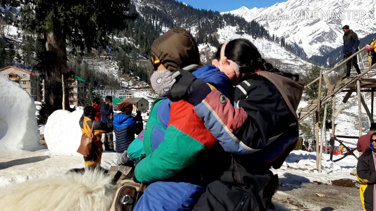 Yak ride at Solang Valley, Manali, Himachal Pradesh - YouTube