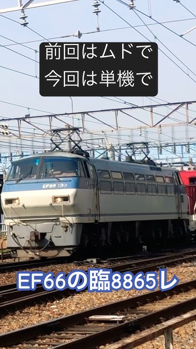 【EF66】出演：サメ・ザリガニ 臨8865レ EF66-130ムドDD200-1 EF66-123単機 20250419 20250426 - YouTube