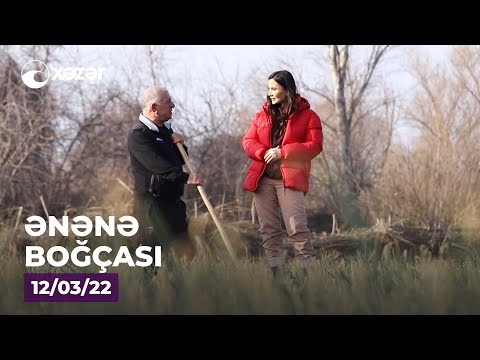 Ənənə Boğçası - Piyadalar, Qaradırnaq Kəndləri 12.03.2022