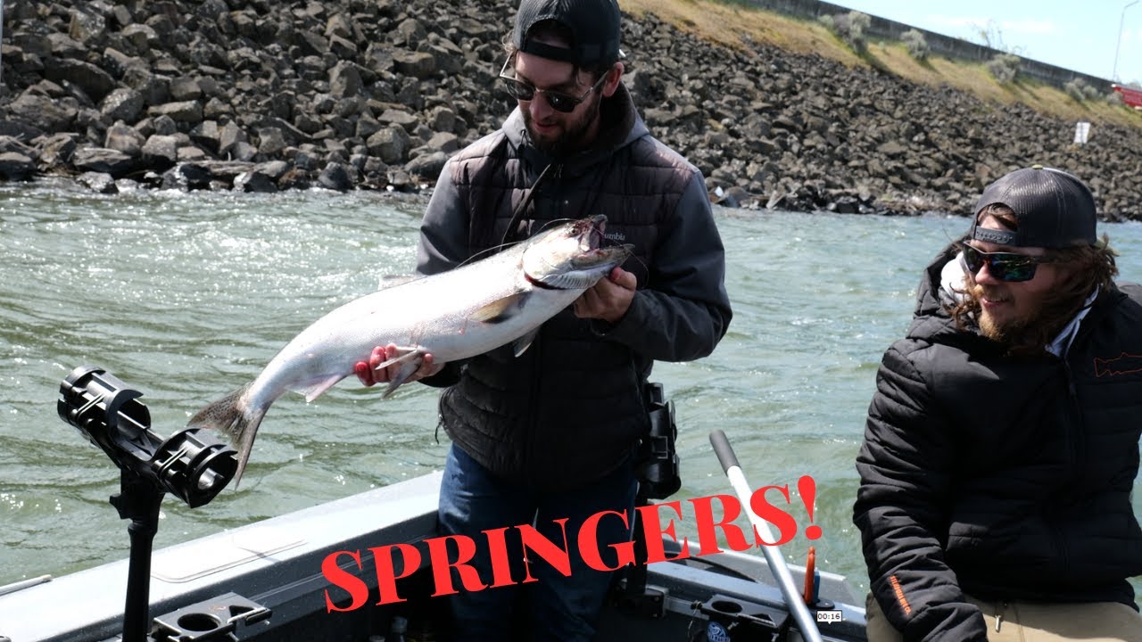 Spring Chinook Salmon |Day 3 of 3| - YouTube
