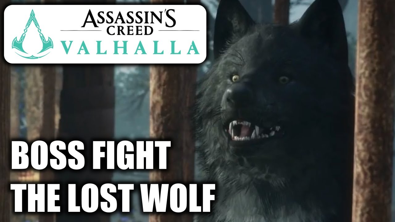 Assassin's Creed Valhalla - The Lost Wolf Boss Fight - YouTube