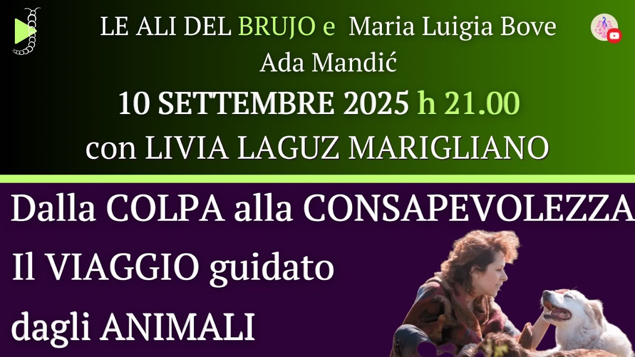 DALLA COLPA ALLA CONSAPEVOLEZZA: IL VIAGGIO GUIDATO DAGLI ANIMALI - YouTube