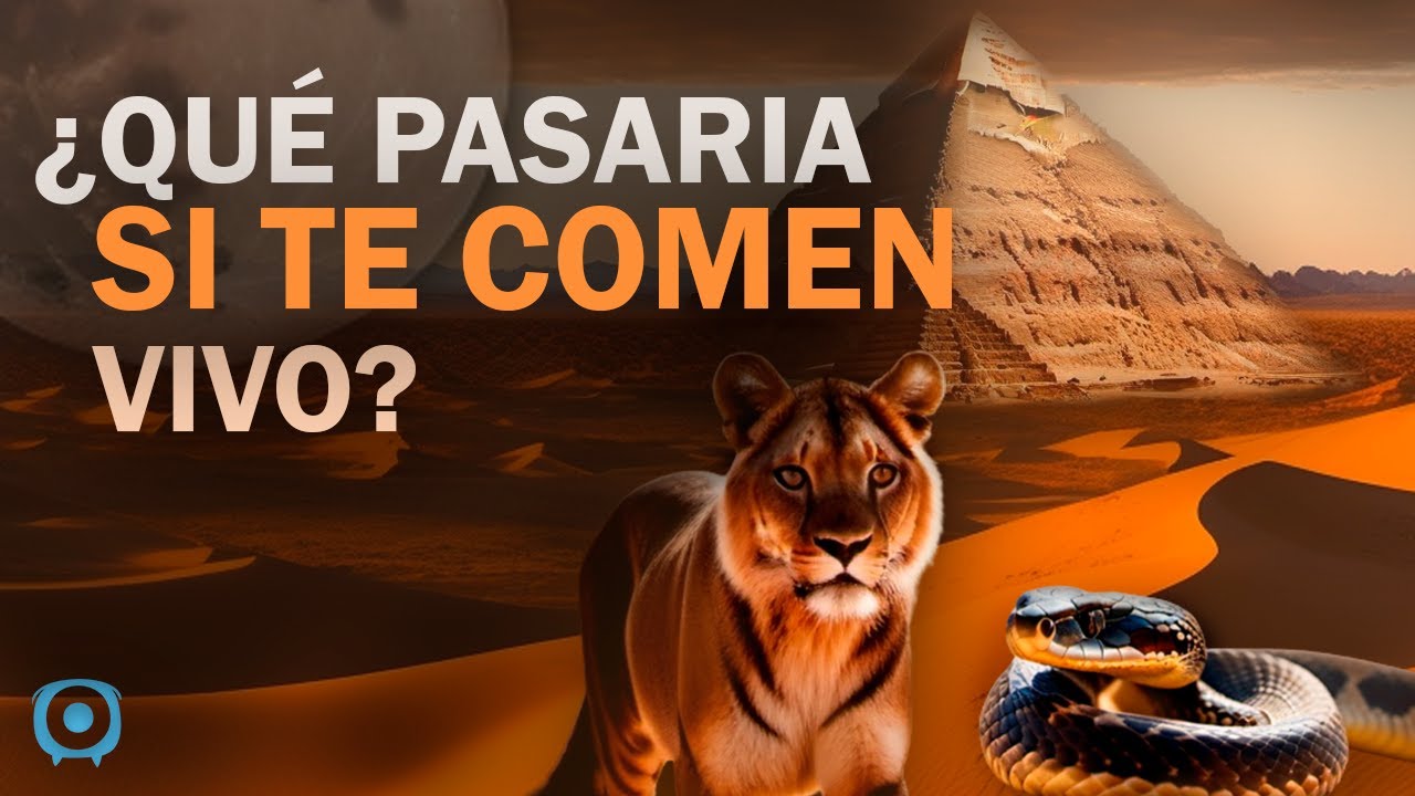 ¿Qué pasa si te comen vivo?🧐 - YouTube
