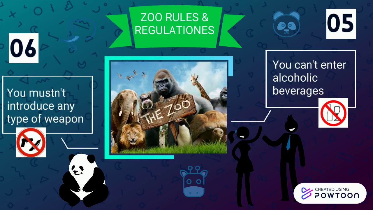 ZOO RULES REGULATIONS YouTube ZOO RULES REGULATIONS YouTube