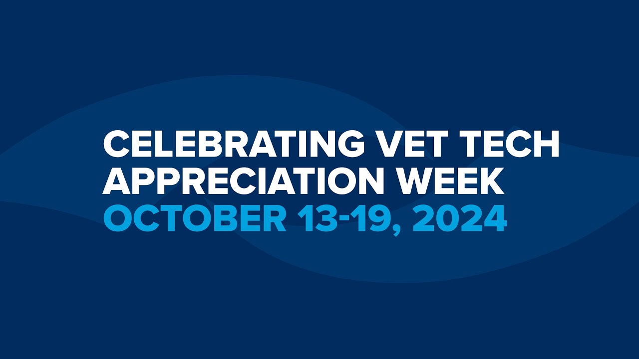 2024 Vet Tech Appreciation Week Shoutouts from DVMs - YouTube